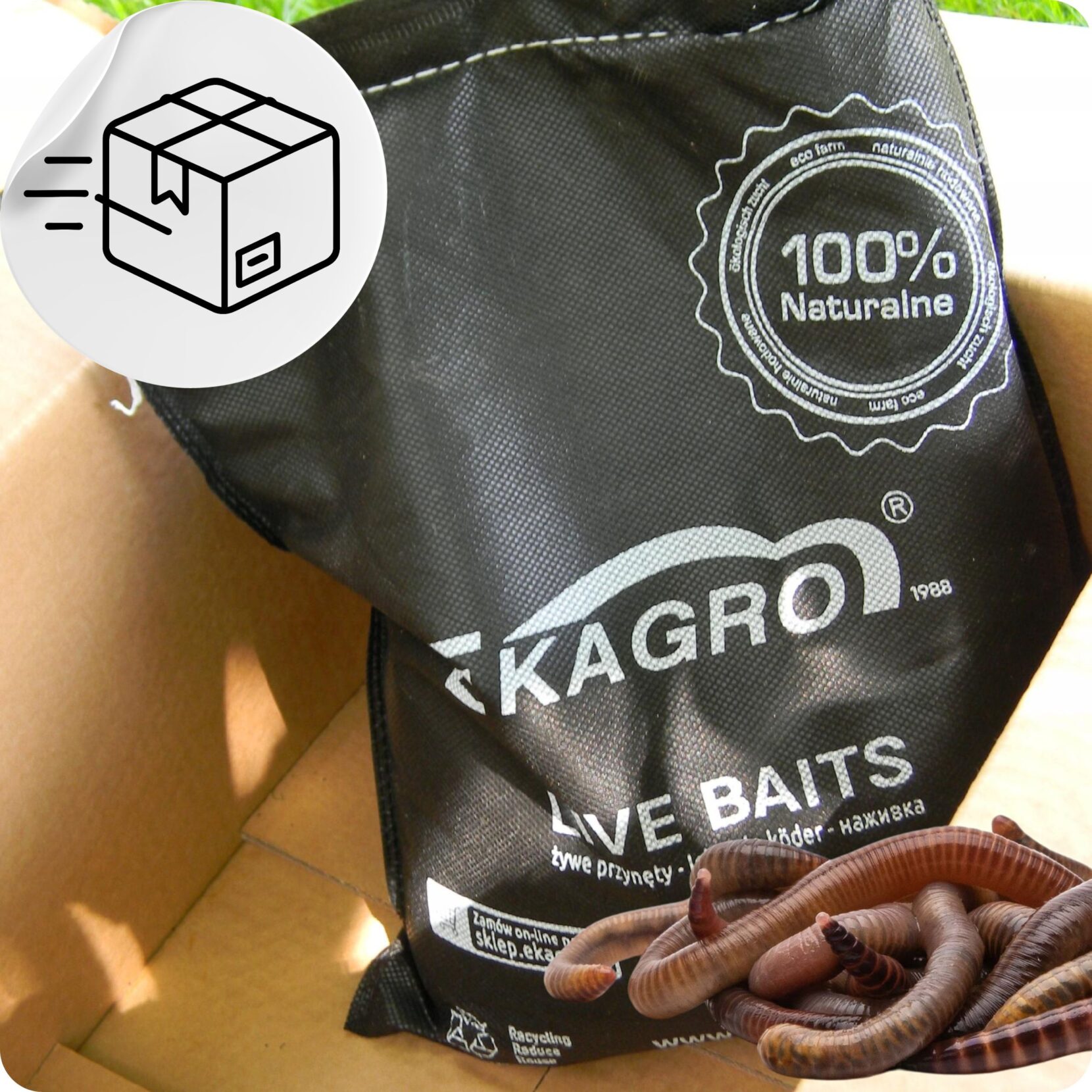 Dżdżownice Kalifornijskie do Kompostowania 1000szt - Sklep Ekagro