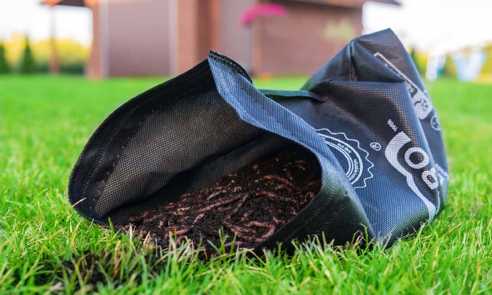 Dżdżownice Kalifornijskie do Kompostowania 1000szt - Sklep Ekagro